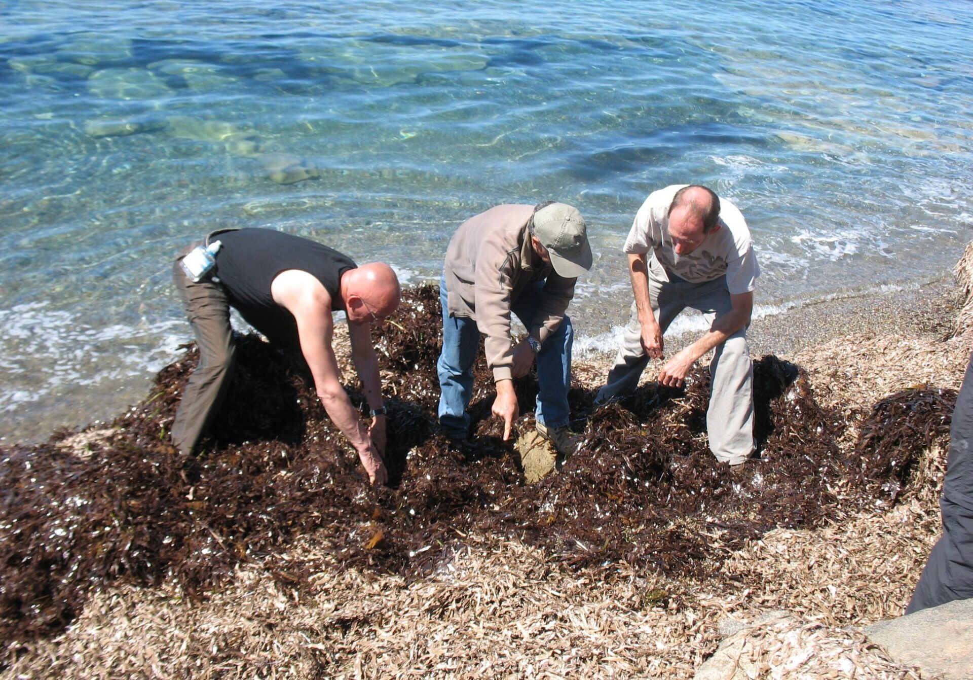 Τα οστά κάτω από τα θαλάσσια φύκια που μαρτυρούν την ιστορία του ...